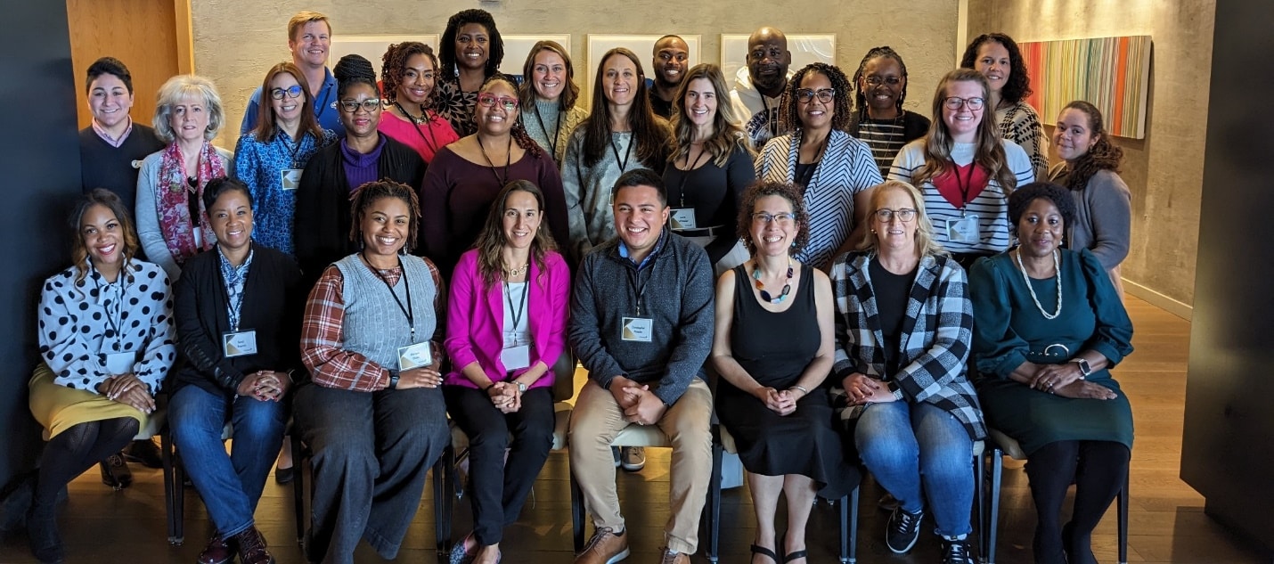 Introducing: Standards for Excellence Institute® Licensed Consultants ...